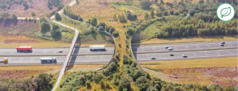 Welke rol speelt de RAW-systematiek voor een klimaatneutraal en ...